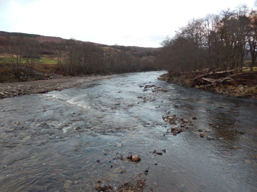 Salmon return as ‘dry’ river flows again - APEM Inc